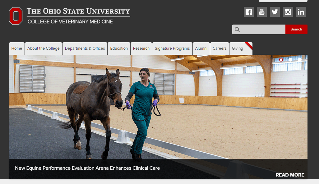 Wrote article about new equine performance arena for Ohio State Vet Med ...